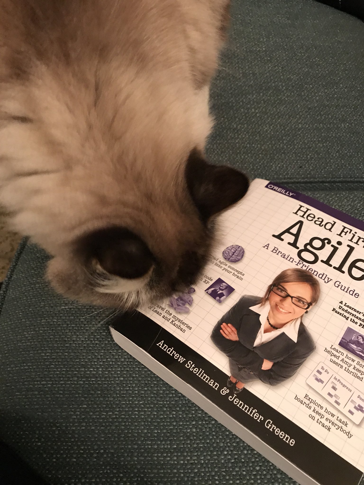 Announcing our latest book: Head First Agile | Building Better Software